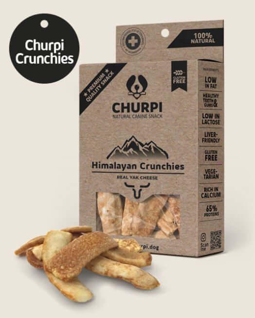 Bâton de Fromage de Yak Souflé | Friandise pour Chiot | Churpi